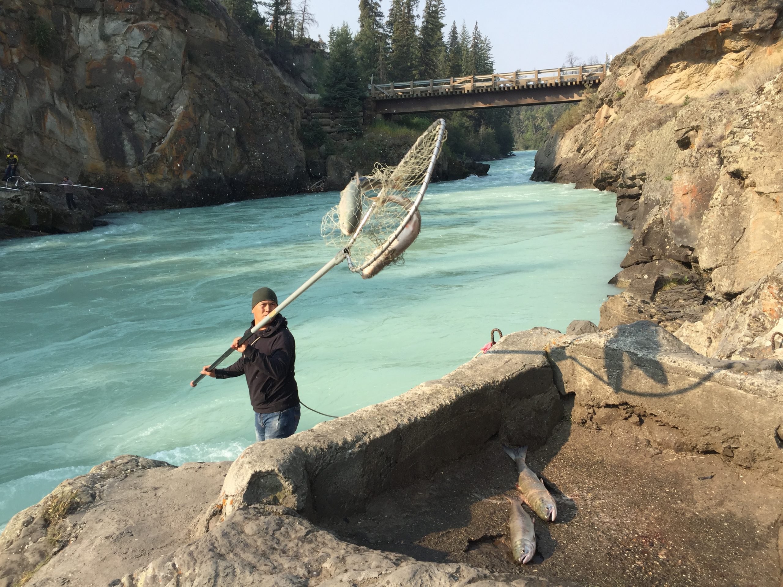 Why is Selective Fishing Important? - Authentic Indigenous Seafood